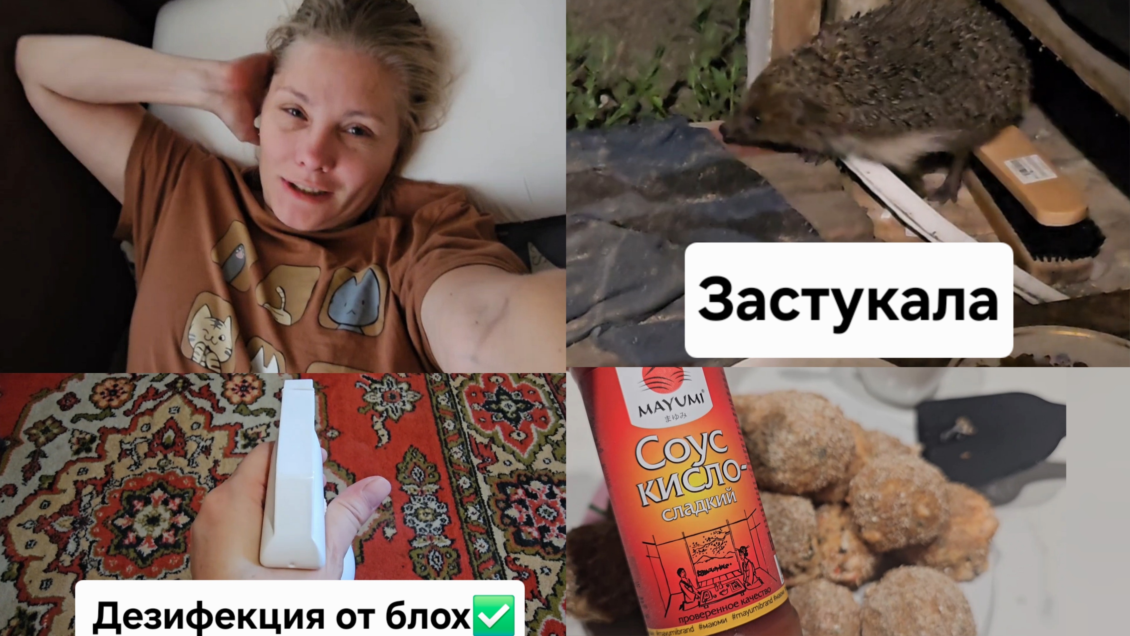 Дезинфекция дома🏠 Горячие роллы🔥27-28.06.2026