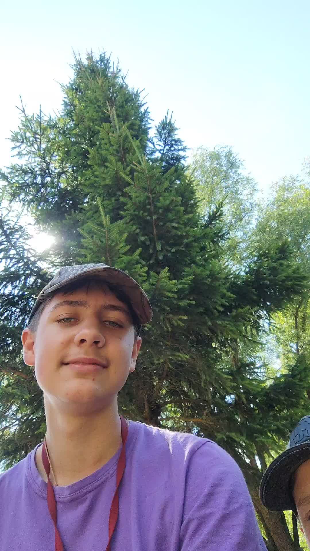 покатушки чеек