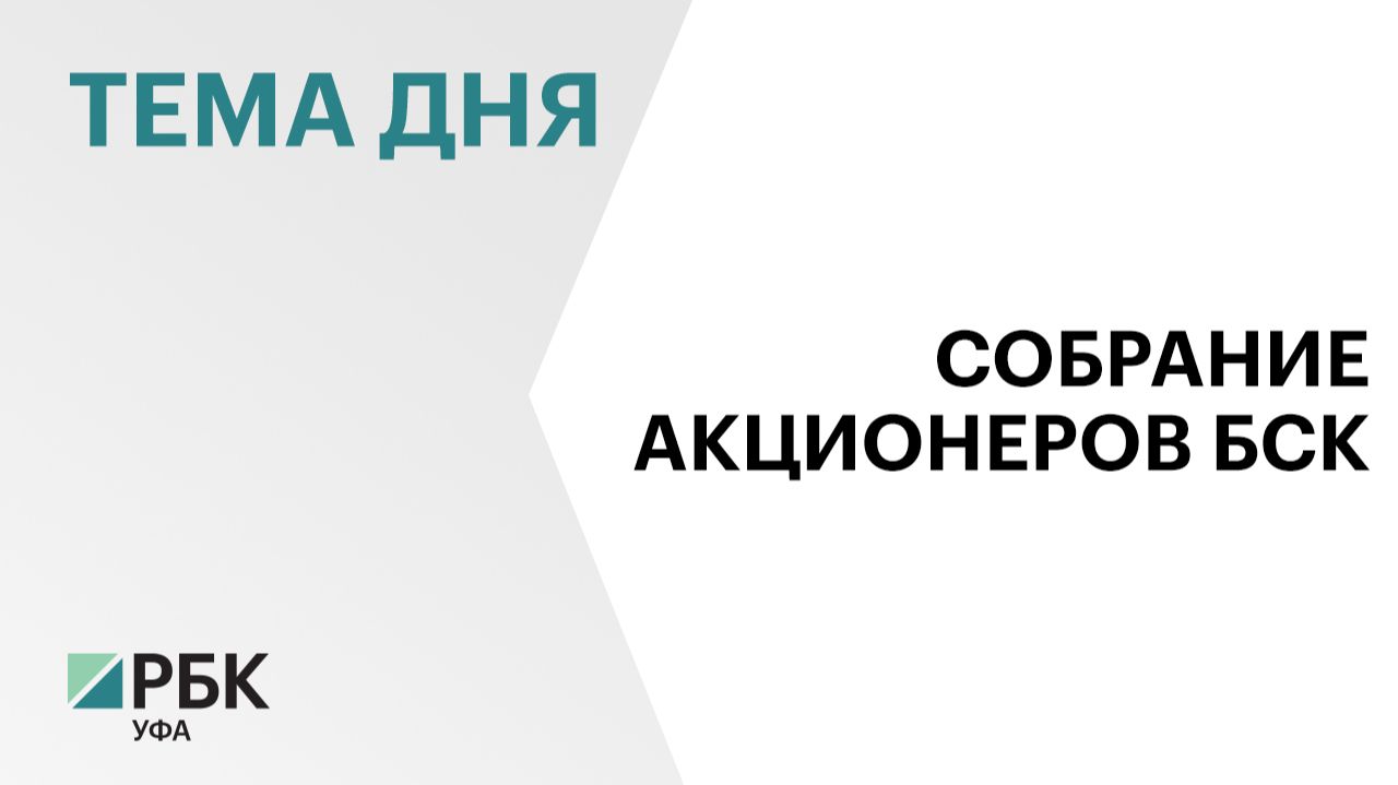 Чистая прибыль АО «БСК» по итогам 2025 г. составила ₽3,9 млрд