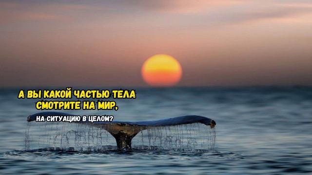 А вы какой частью тела смотрите на мир, на ситуацию в целом?
