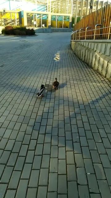 Любите жизнь