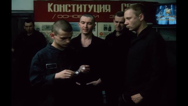 Сука вне закона (кф. Беспредел)