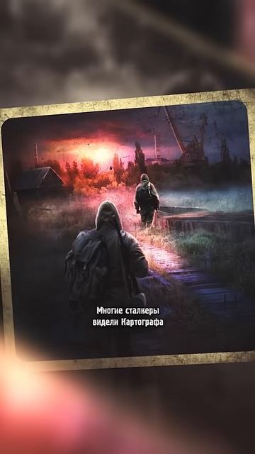 Шортсы Сталкер от MUZZBAD
