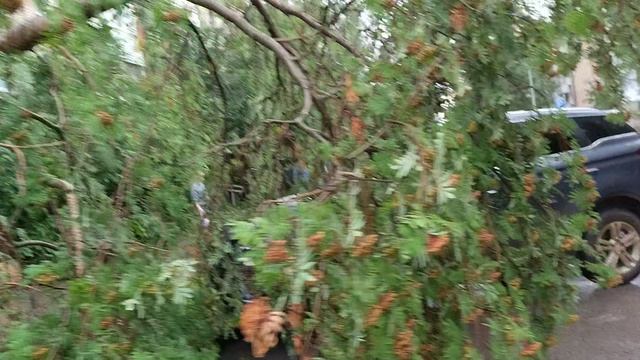 №2260	ул. Газеты Звезда. 30 июня 2026 г., 19:18:03 VID_20260630_191735993