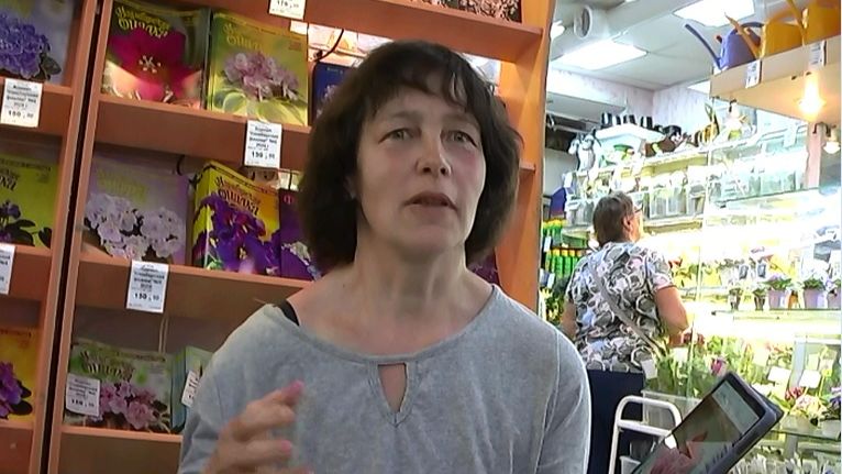 ДФ.Селекция стрептокарпусов в целом и в частности (ИВ-)