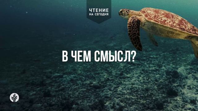 В ЧЕМ СМЫСЛ?  | АУДИО |	6	  июля 2026