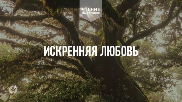 ИСКРЕННЯЯ ЛЮБОВЬ  | АУДИО |	7	  июля 2026