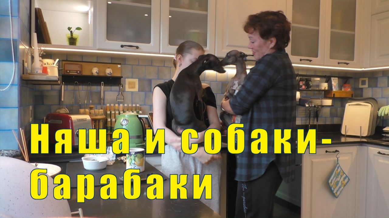 НЯША ЛУНЯША И СОБАКИ БАРАБАКИ / 24 июня 2026