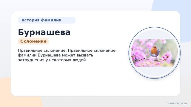 Фамилия Бурнашева: происхождение, значение и склонение