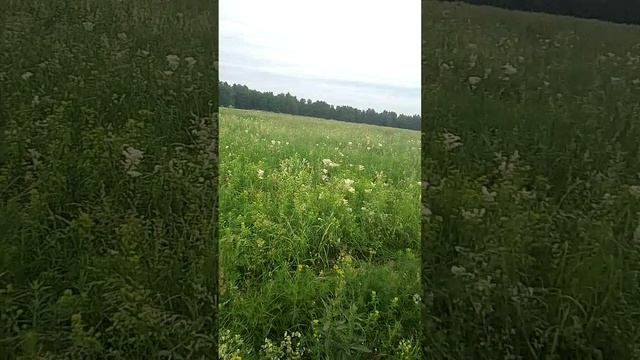 НЕ Дома