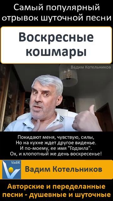 Самый популярный отрывок шуточной песни "Воскресные кошмары", ВадиК