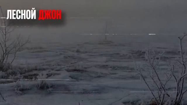 Мистические истории про лес