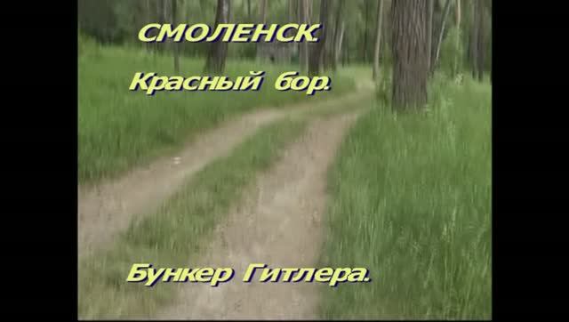 Бункер Гитлера в лесу Красный Бор вблизи Смоленска.