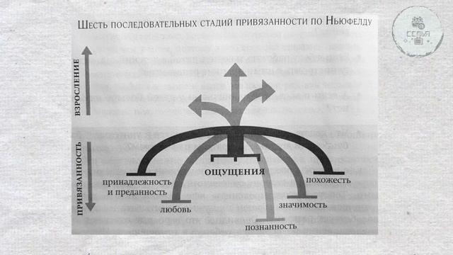 4.Дебора Макнамара. Покой, игра, развитие. 4 глава - Жажда близости почему отношения так важны.