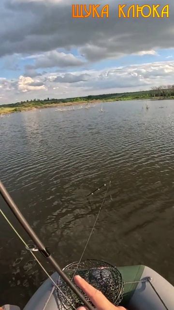 🔥 А вы ловили такое? Эпизод 2 🔥 #рыбалка #спиннинг