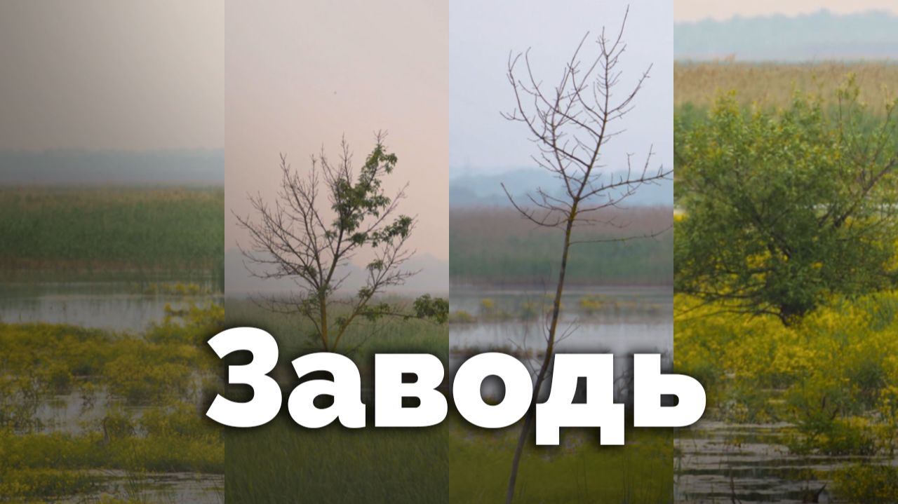 Заводь | С любовью к русской природе