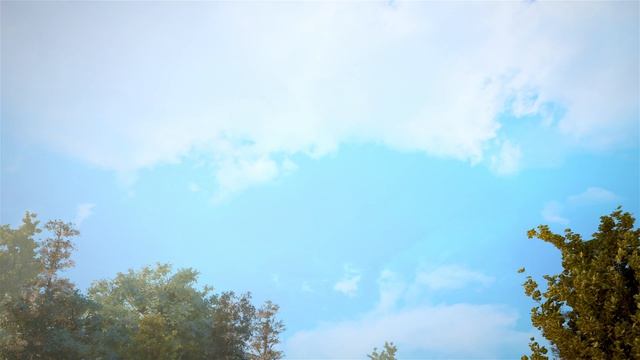 Дикие скричеры. Сезон 5