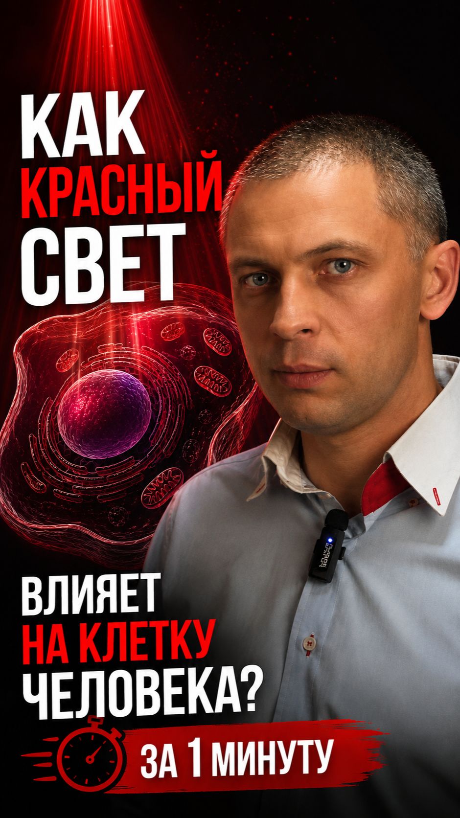 Моменты