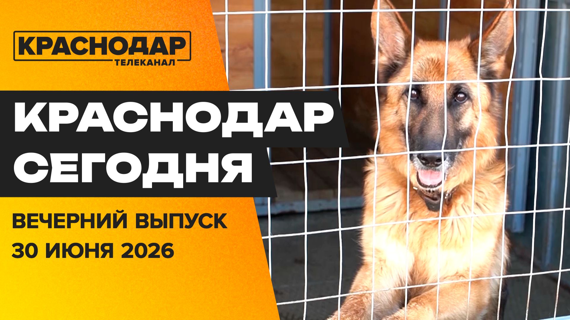 Приют отметил год работы, защищаемся от мошенников, постотпускной синдромом. Новости 30 июня