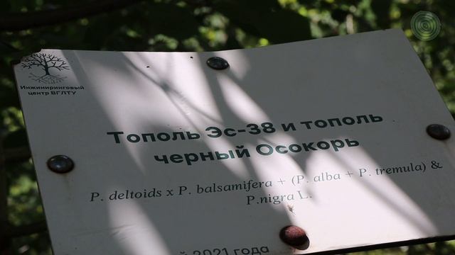 III Международная научно-практическая конференция «Биоэкономика и климат: глобальный диалог» 2026