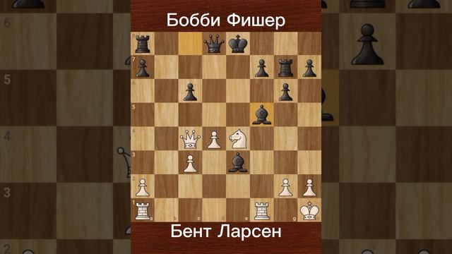 Бобби Фишер против Бента Ларсена (1962) | Блестящая выставочная партия в Копенгагене