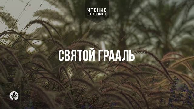 СВЯТОЙ ГРААЛЬ  | АУДИО |	8	  июля 2026