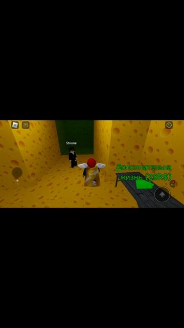 Все видео