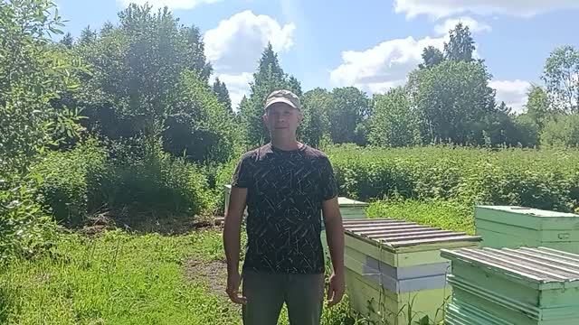 Поговорим о жизни.