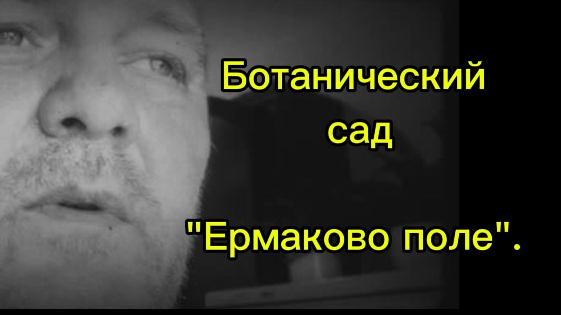 ЕрмаковоПолеИзЛетнихВоспоминаний