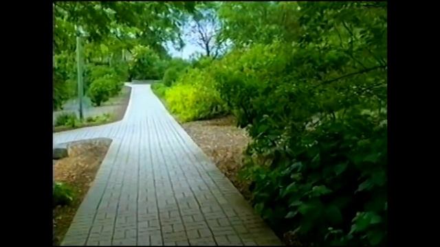 Beta против VHS (часть 2)