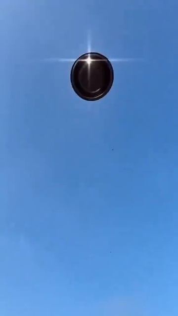 Кото МЕМ 23