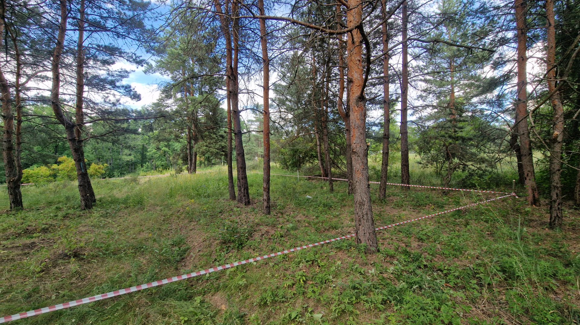 Новые участки ИЖС в мкр Шилово, мой личный ОБЗОР для покутелей.