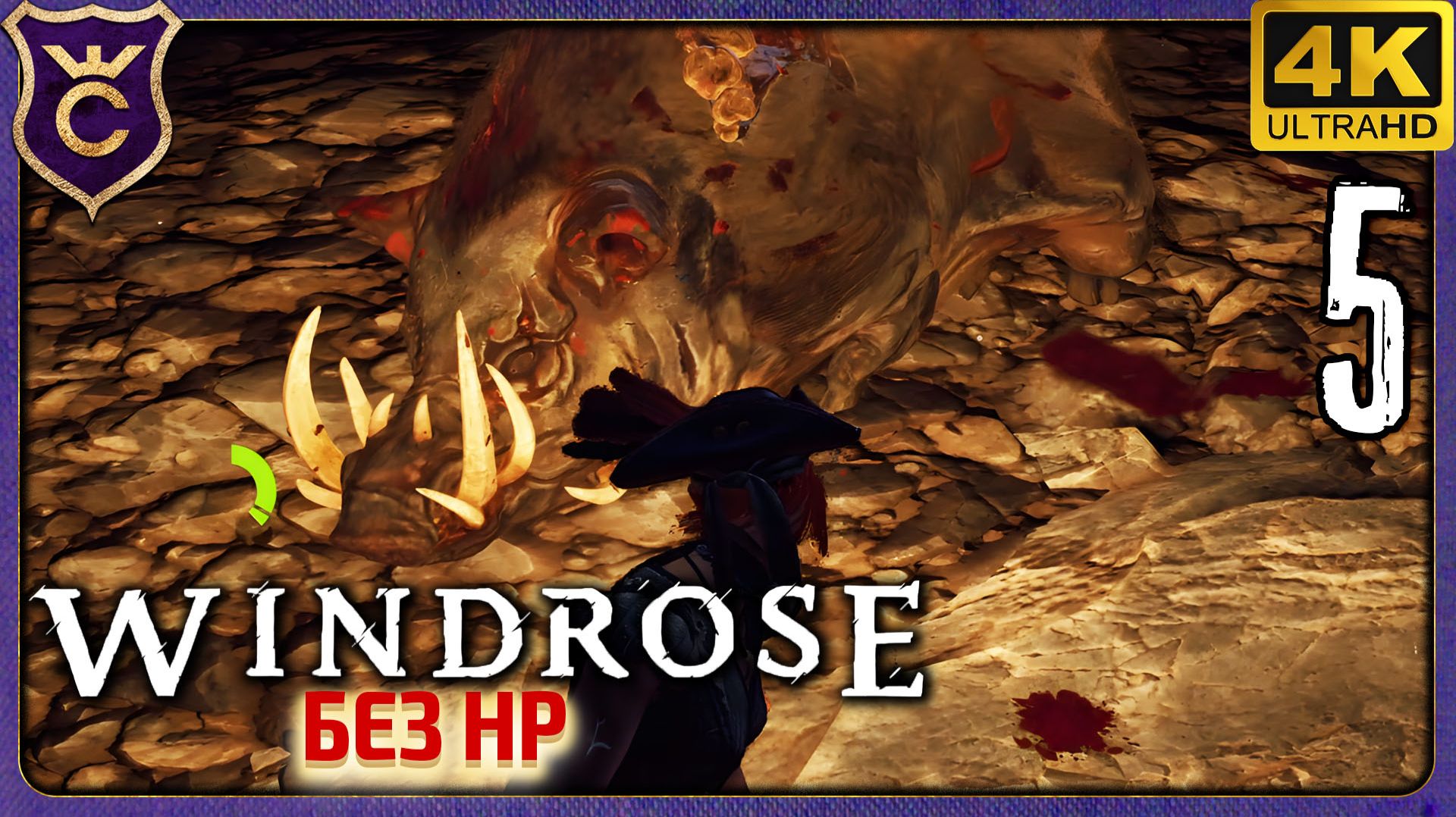Windrose без HP