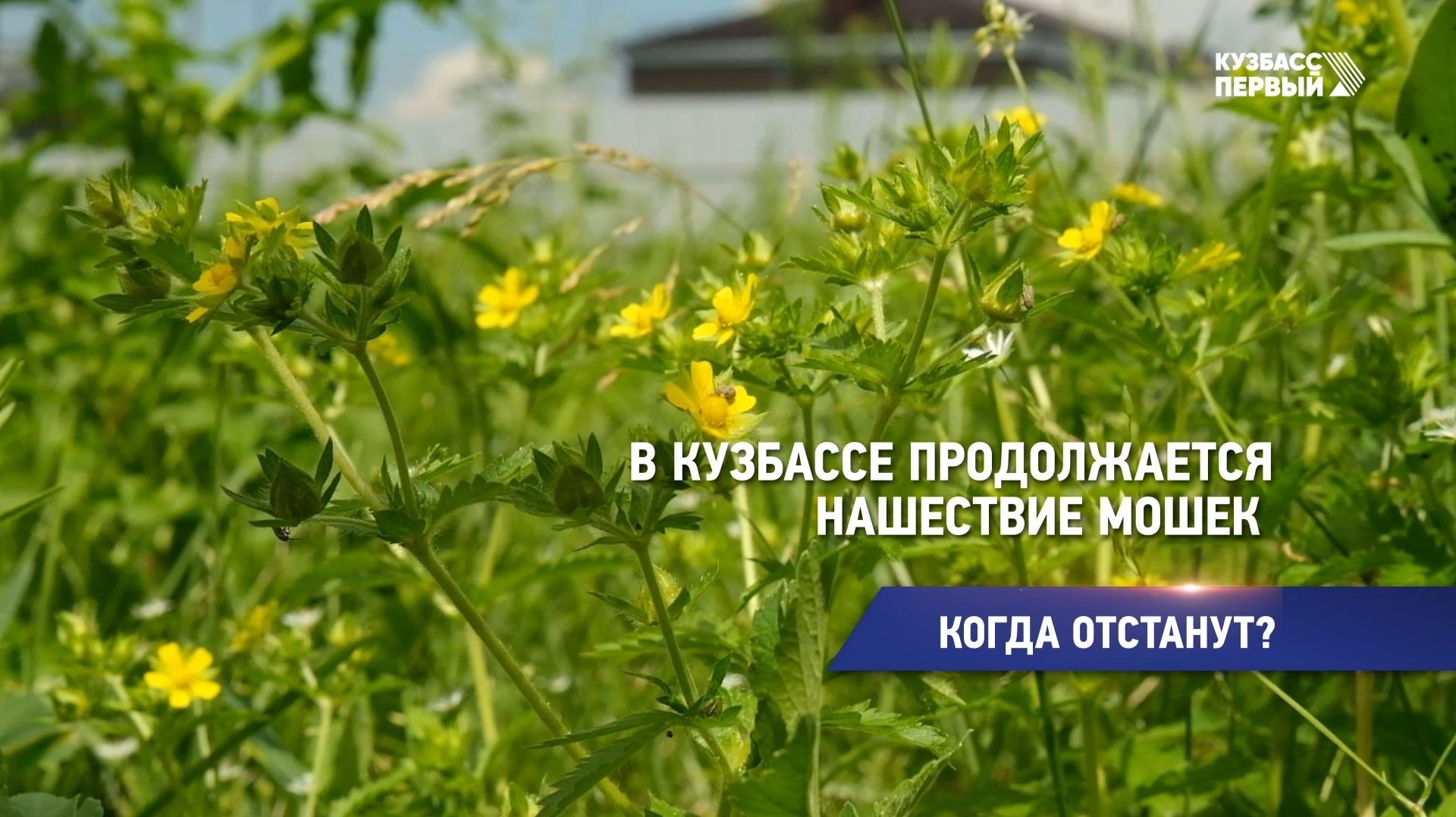 Когда отстанут?