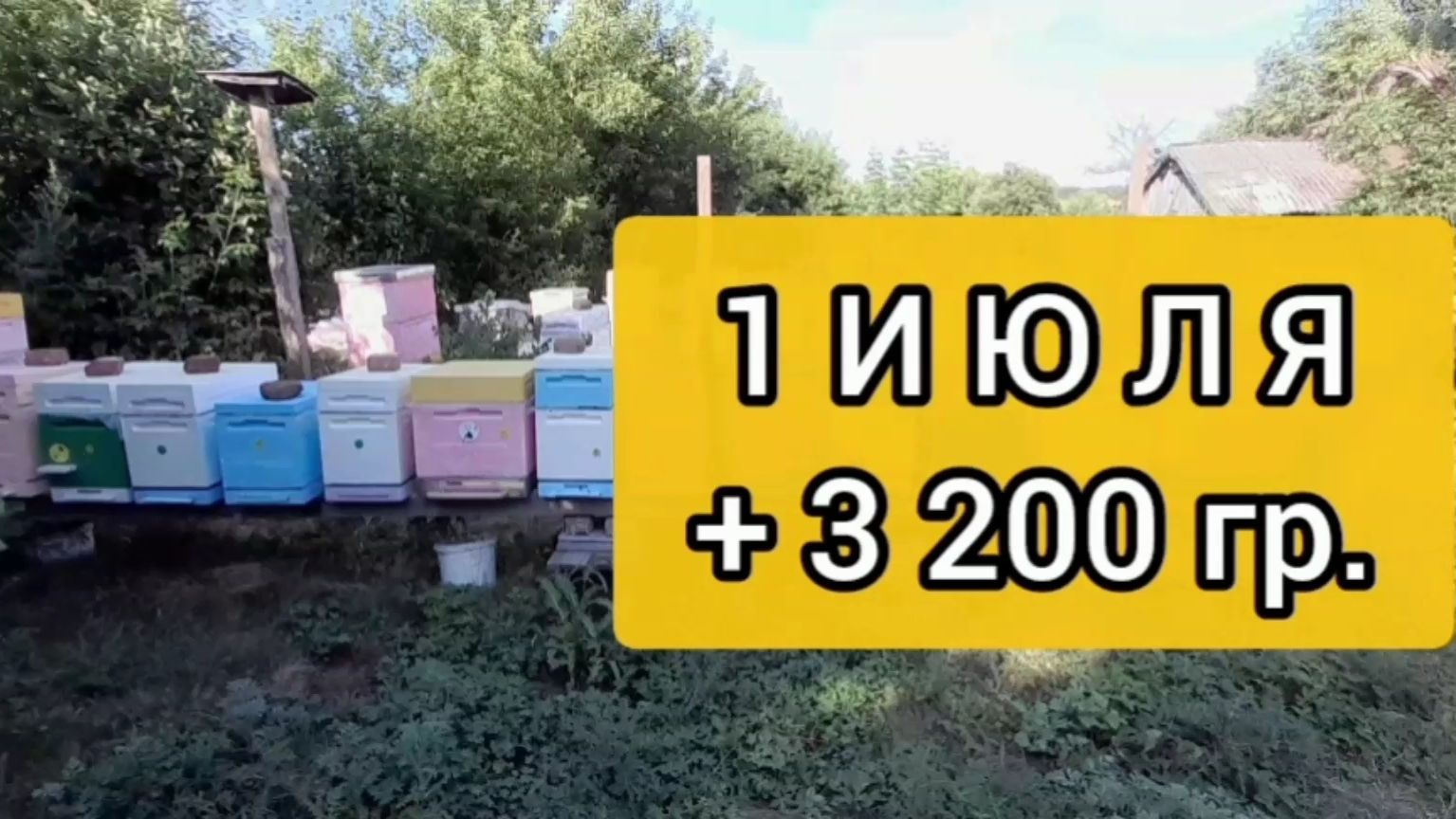 1 июля Привес +3200гр