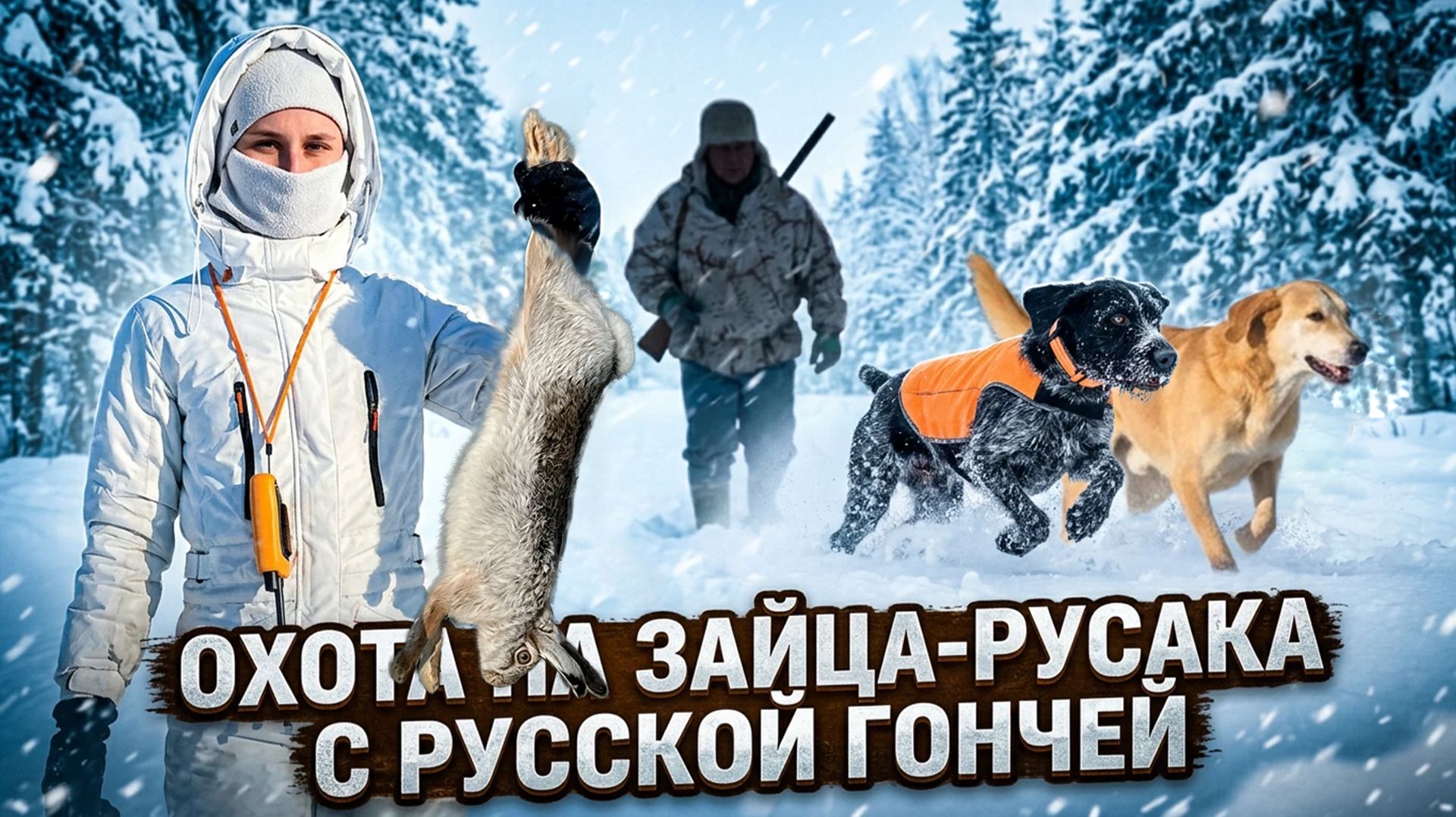 Зимняя охота на зайца-русака с русской гончей / Winter hare hunting with a Russian hound