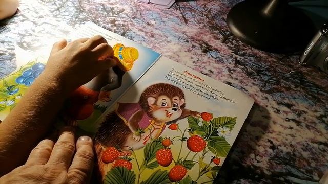 Урок чтения. Лесные ягоды