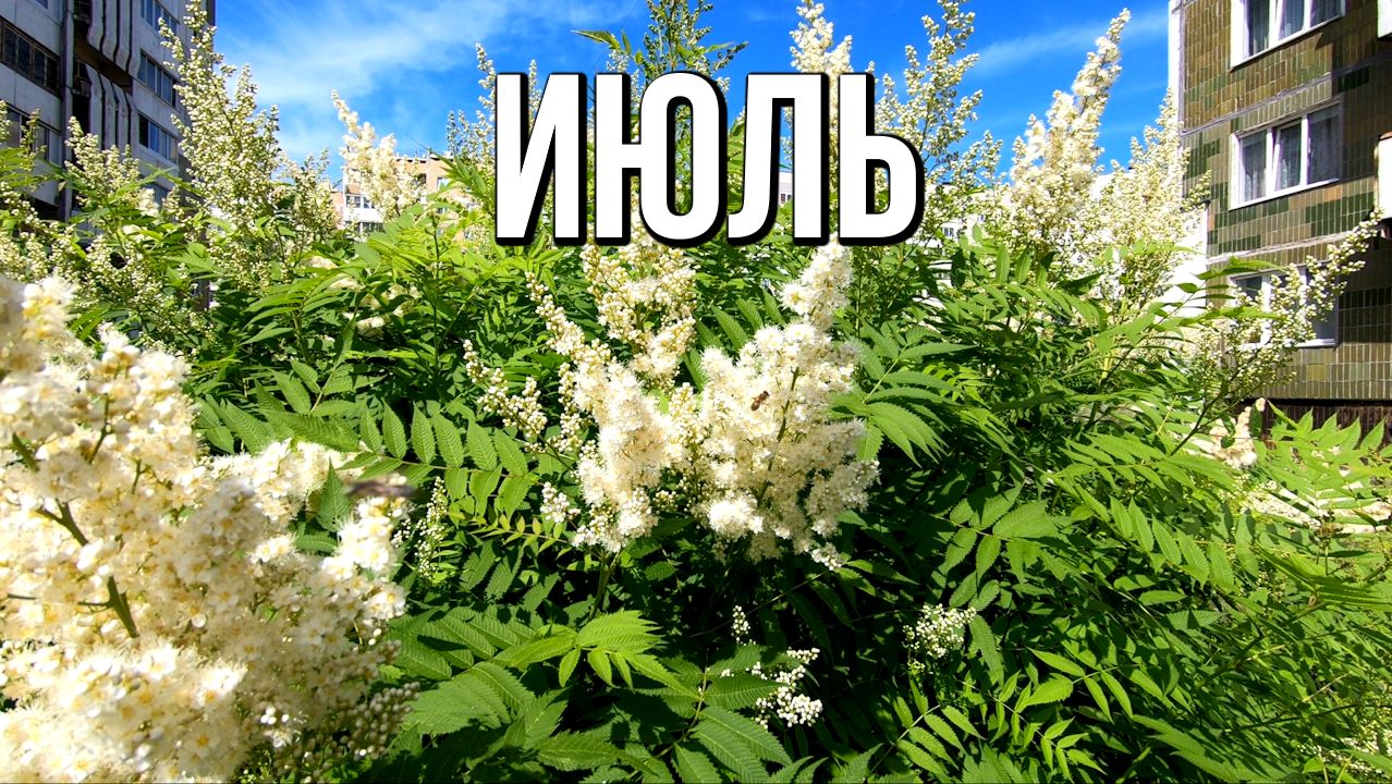 Июль