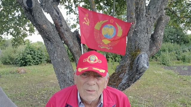 Впечатления