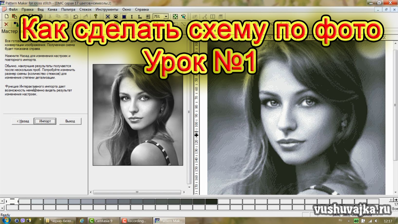Вышивка крестом по фото. Урок №1. Как самостоятельно сделать схему