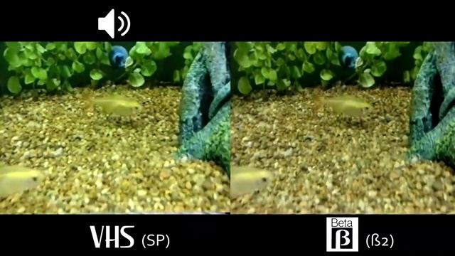 Beta против VHS сравнение (Часть 3)