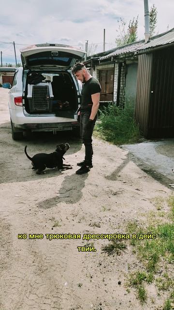 Спарта. Ричард