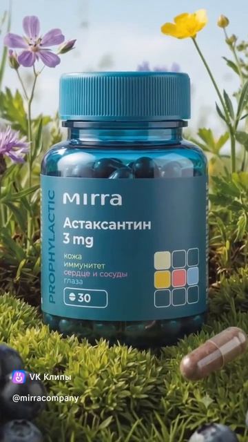 Промокаталог МИРРА:  ИЮЛЬ–АВГУСТ/ 2026 г.