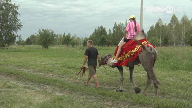 Новости