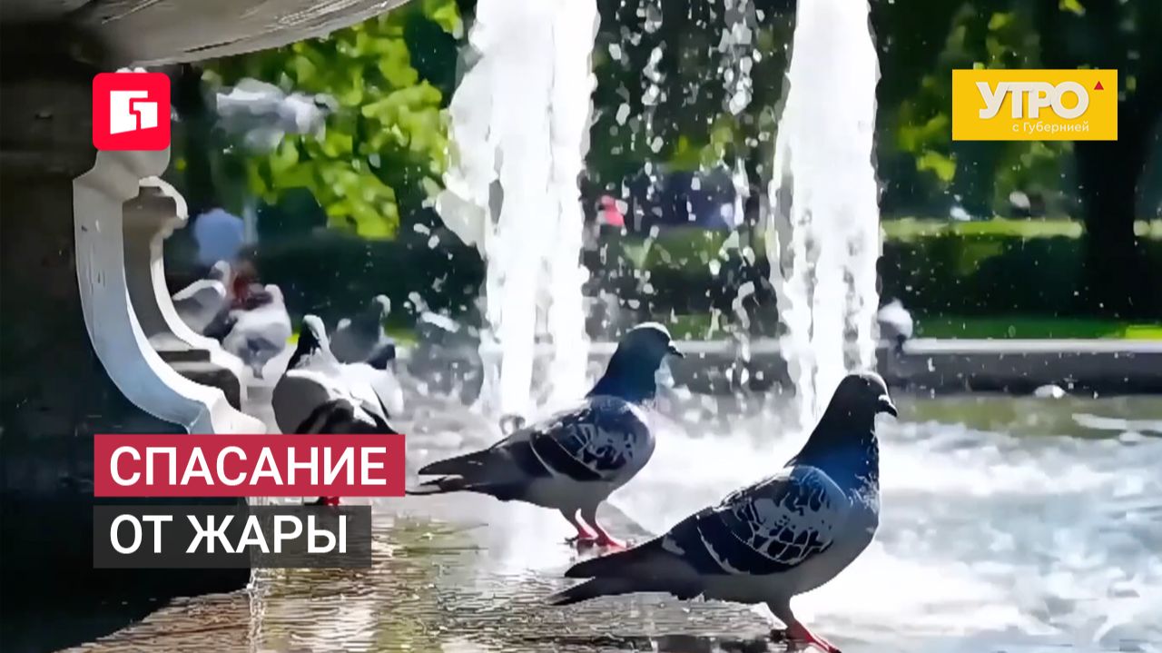 Спасание от жары. Утро с Губернией. 02/07/2026. GuberniaTV