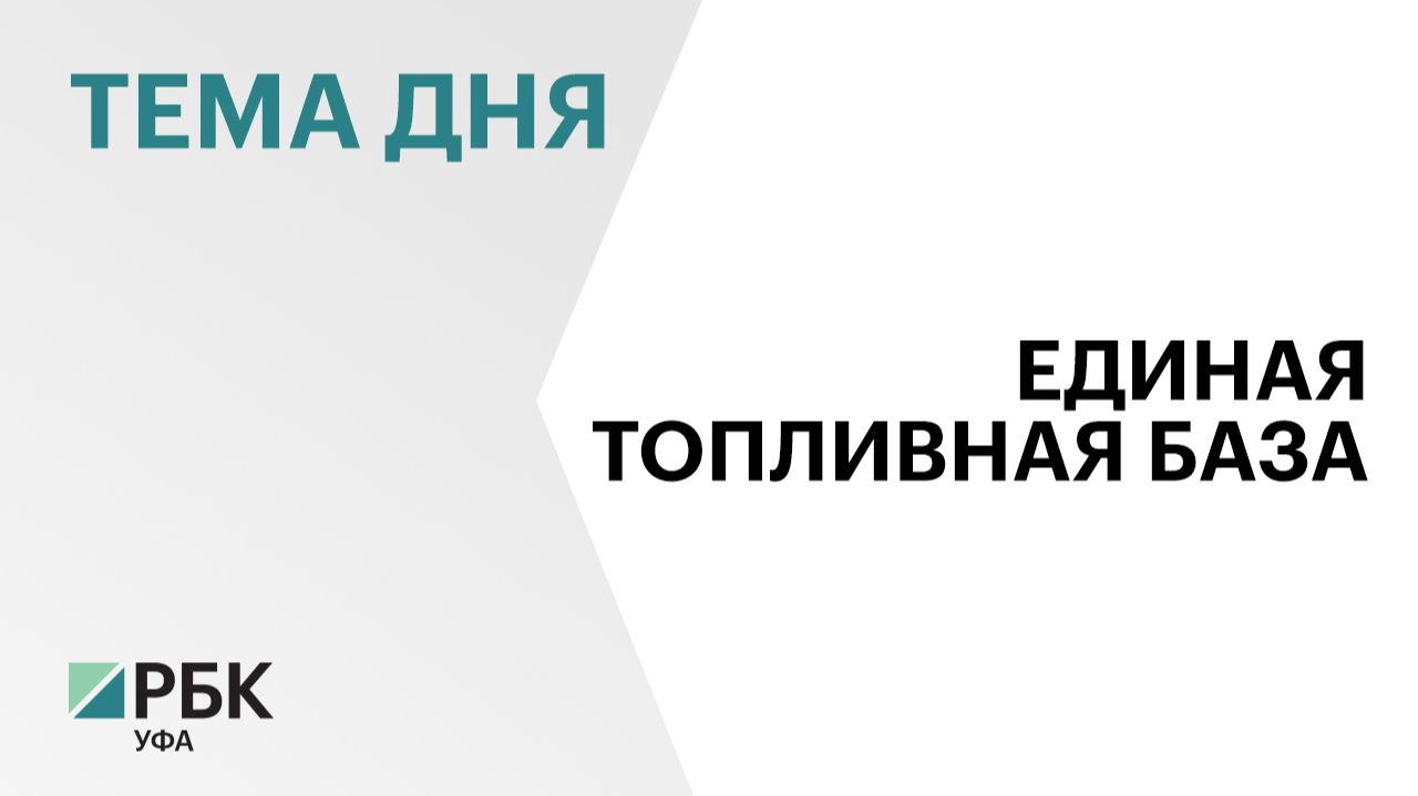 Единая система Минэнерго могла бы помочь избежать ажиотажа на топливном рынке