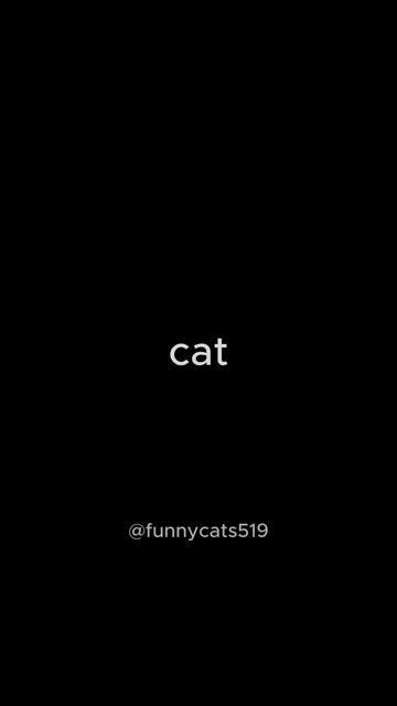 Кошки 69