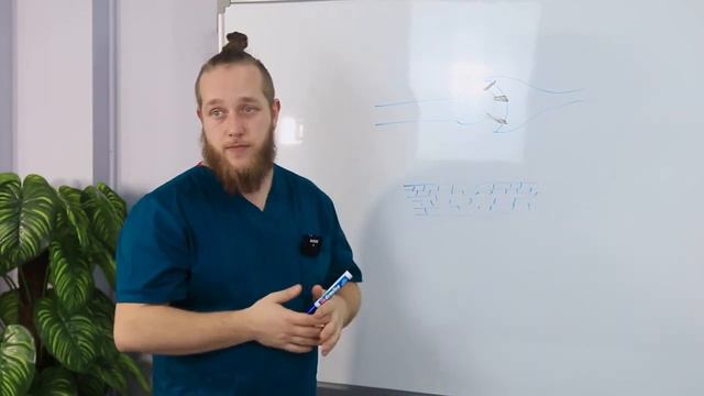 огненный массаж 7 Анатомия связок