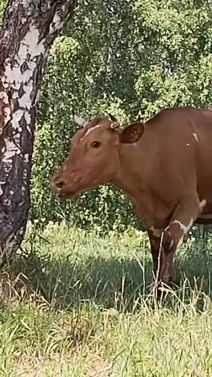 Будьте здоровы! 🥰  02-07-2026