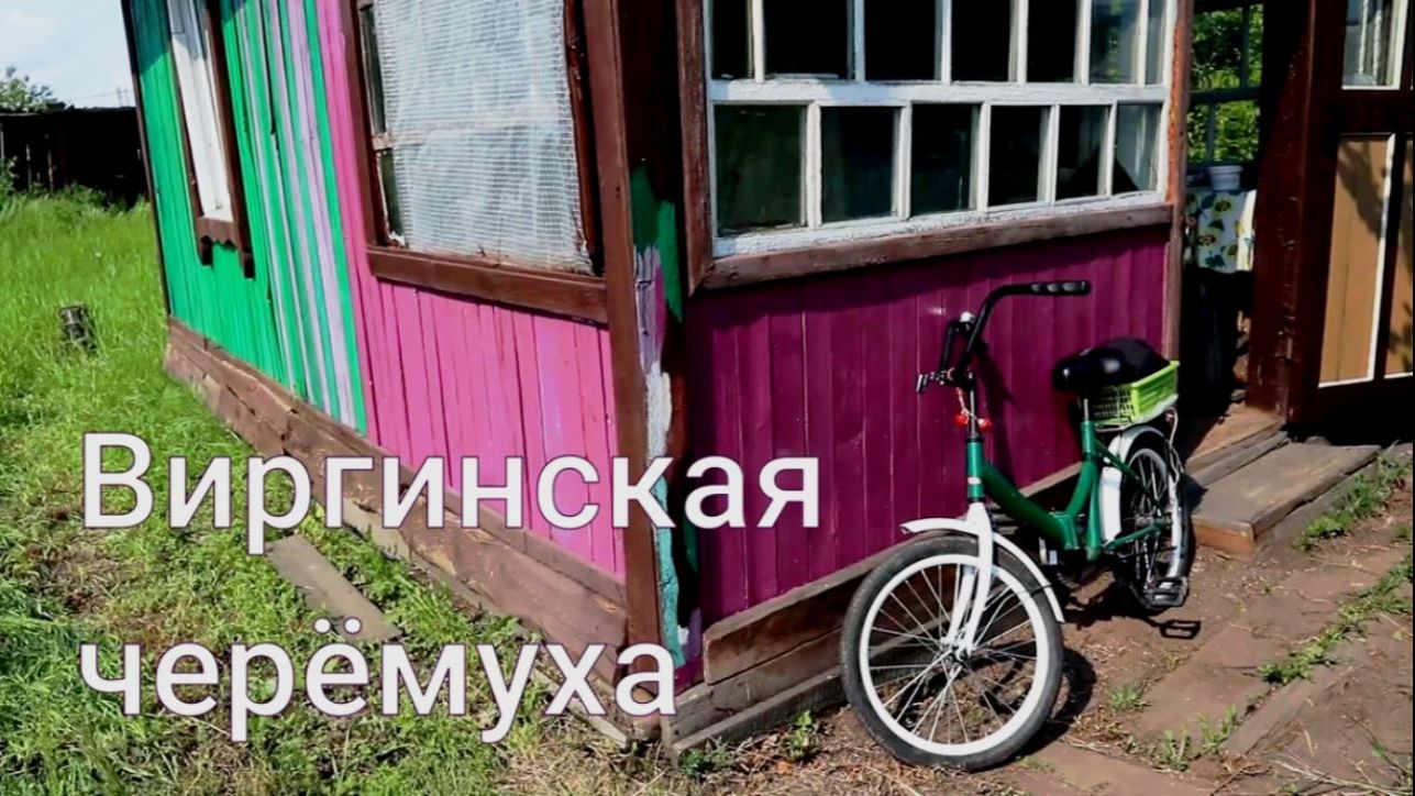 дача 2026